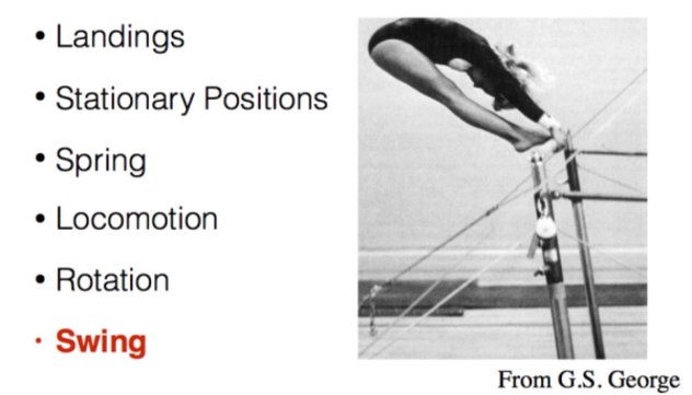 Teaching Gymnastics by Movement Pattern | Recreational Gymnastics