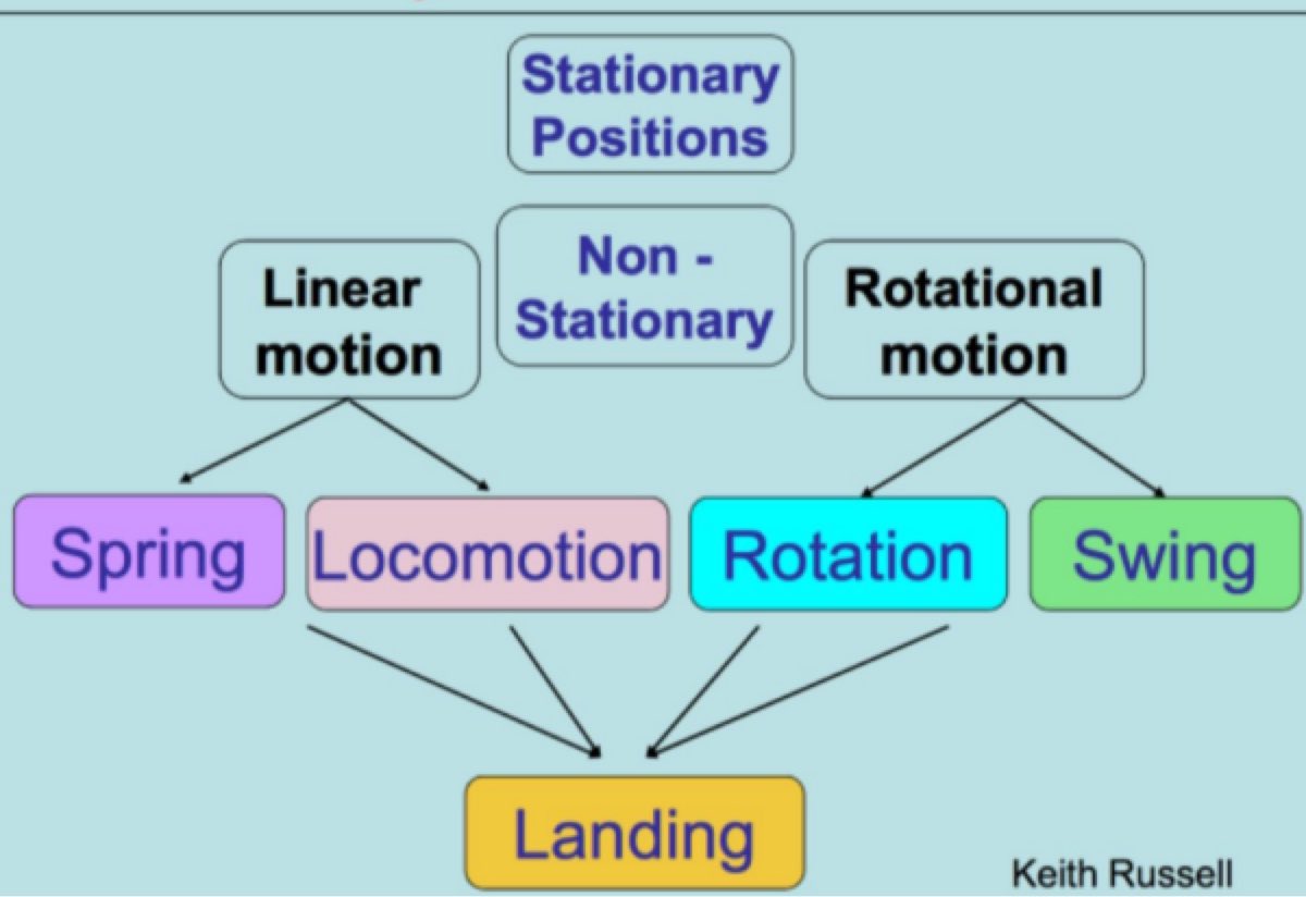 Teaching Gymnastics by Movement Pattern | Recreational Gymnastics